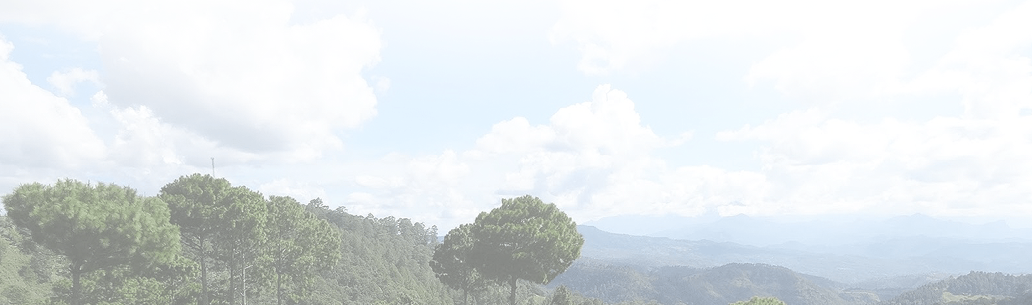 About Us | Lenca Farms